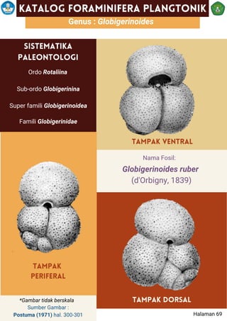 Mikropaleontologi.pdf