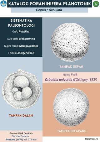 Mikropaleontologi.pdf