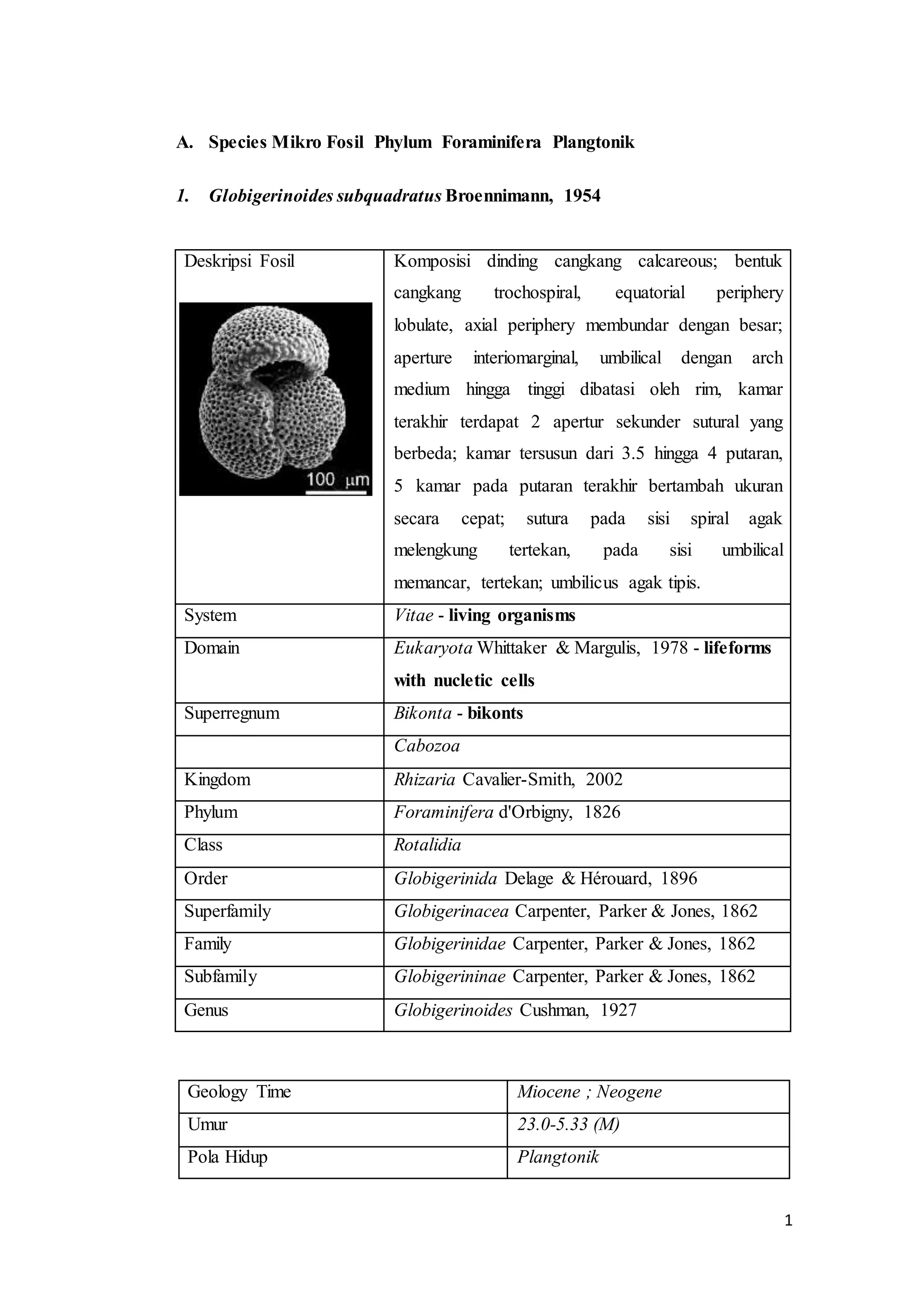 Mikropal | DOCX