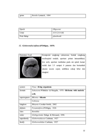 Mikropal | DOCX