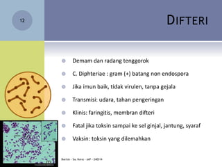 Bakteri Penyebab Penyakit Pernafasan | PPTX