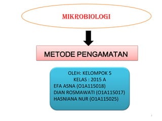 Mikrobiologi metode pengamatan | PPT