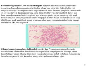 Mikrobiologi metode pengamatan | PPT