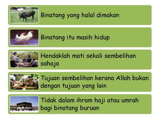 Mikro Sembelihan | PPTX