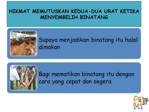 Mikro Sembelihan(2) | PPT