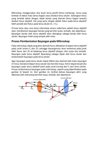 Mikroskop | DOCX