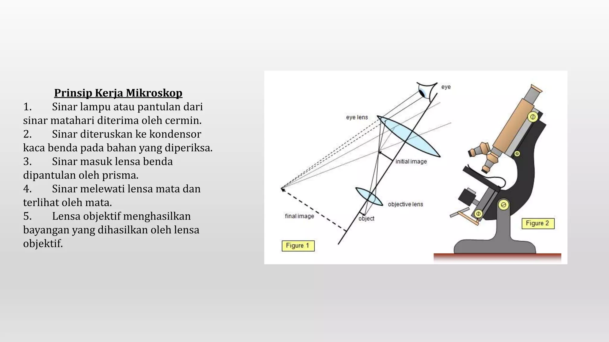 Mikroskop.ppt