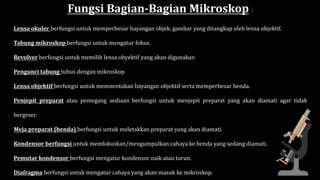 Tugas Sekolah Yenyang Pengenalan Mikroskop.ppt