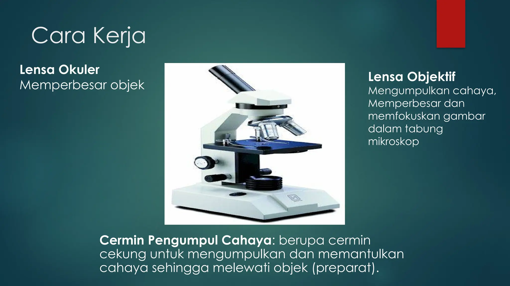 Mikroskop definition and decription.pptx