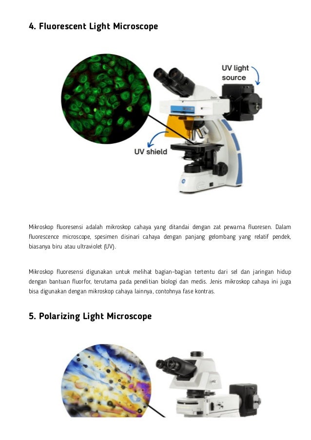 Mikroskop Cahaya - Jenis dan Contoh Light Microscope Terbaik | PDF