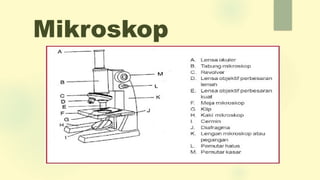 Mikroskop, Bagian-bagian Mikroskop, dan Fungsinya | PPTX