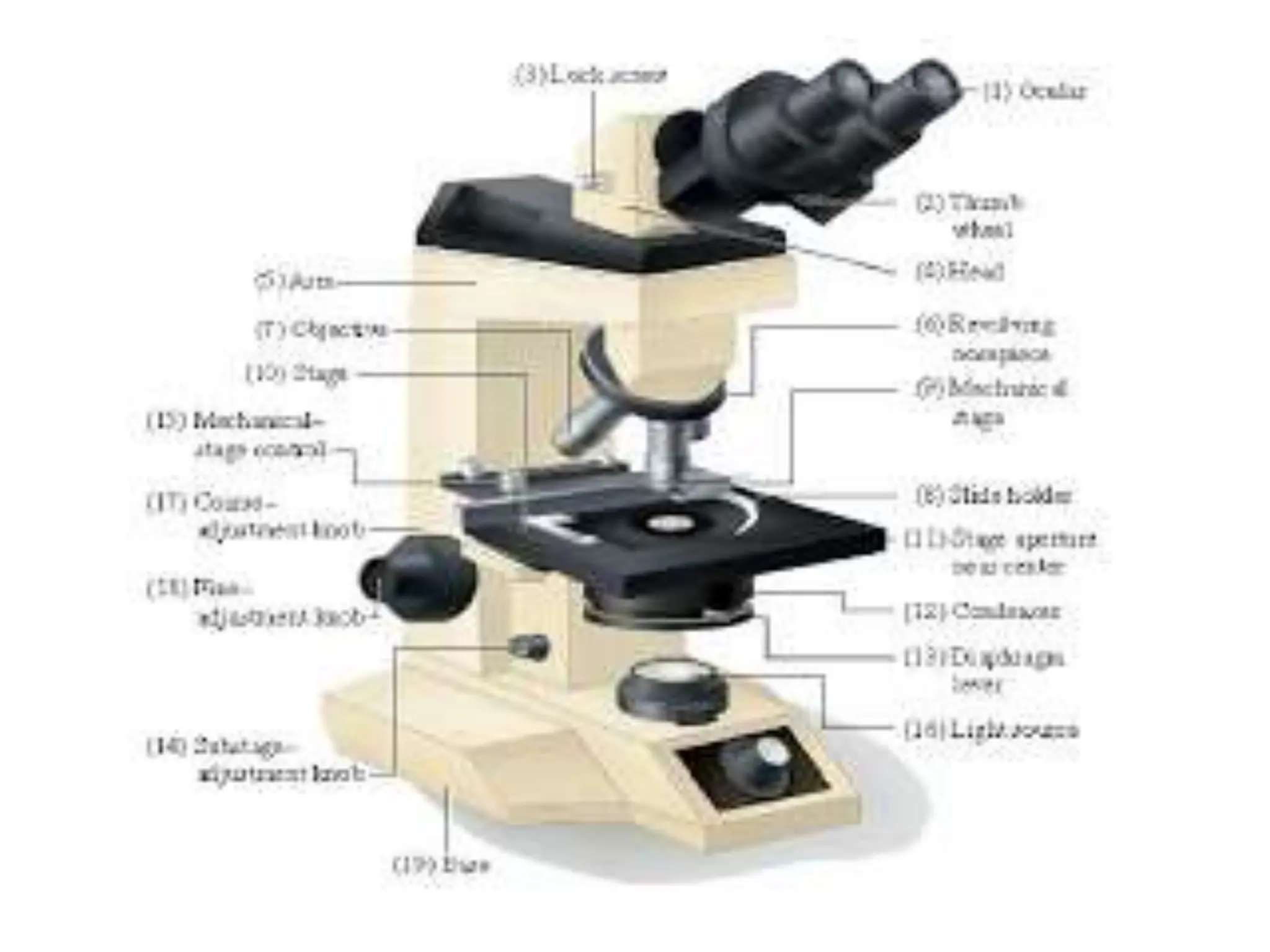CARA MENGGUNAKAN MIKROSKOP CAHAYA DI LABORATORIUM.pptx