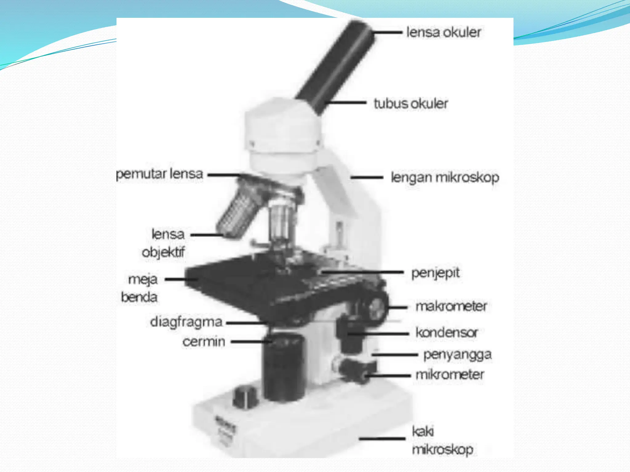 CARA MENGGUNAKAN MIKROSKOP CAHAYA DI LABORATORIUM.pptx