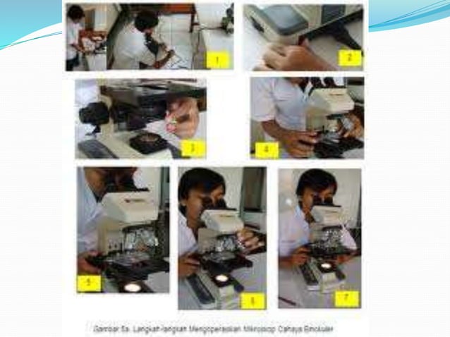 CARA MENGGUNAKAN MIKROSKOP CAHAYA DI LABORATORIUM.pptx