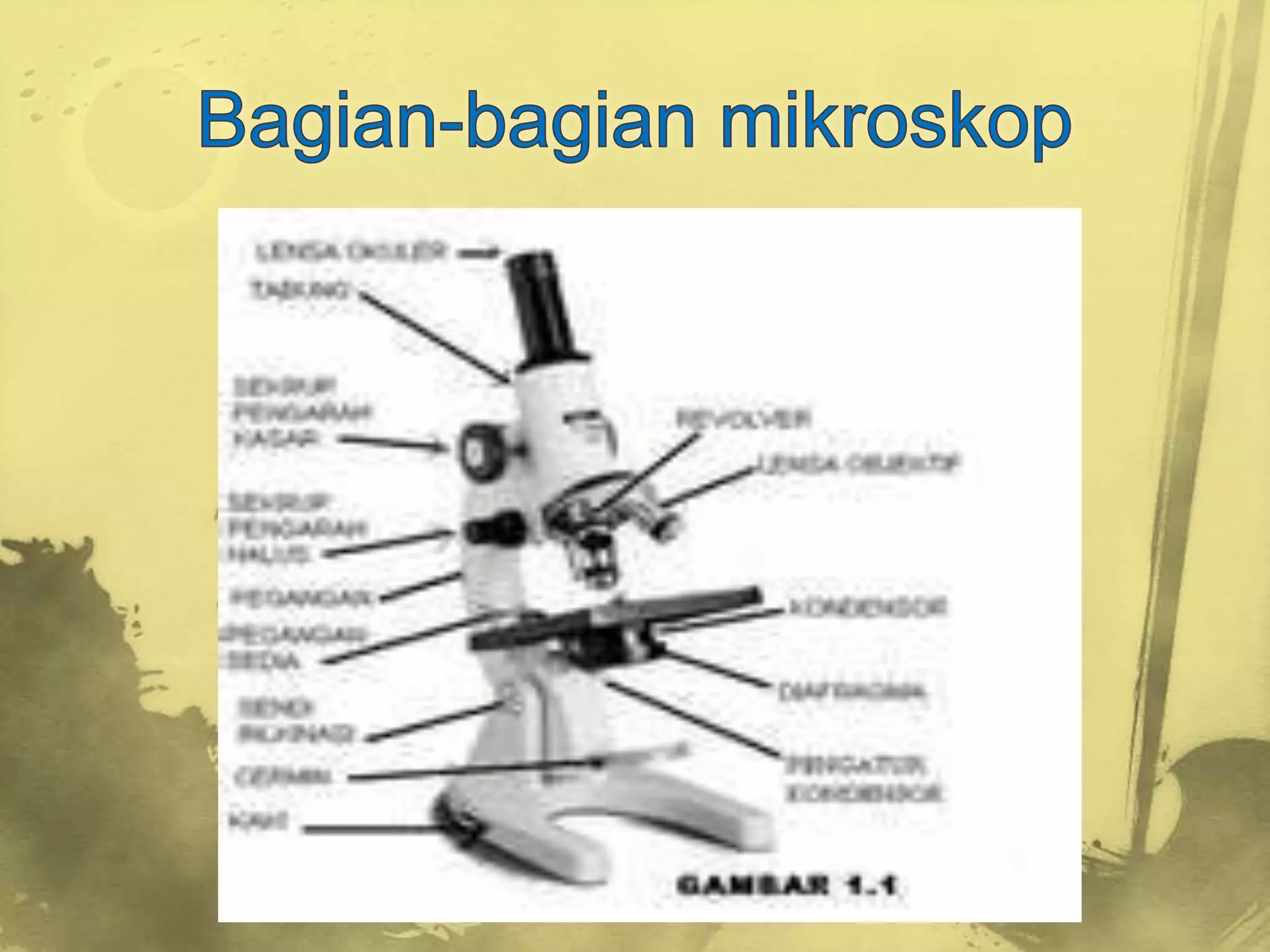 Mikroskop, dia,azizah,nadin,nirma | PPT