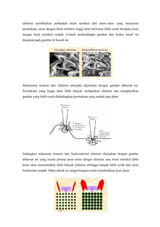 MIKROSKOP ELEKTRON | PDF