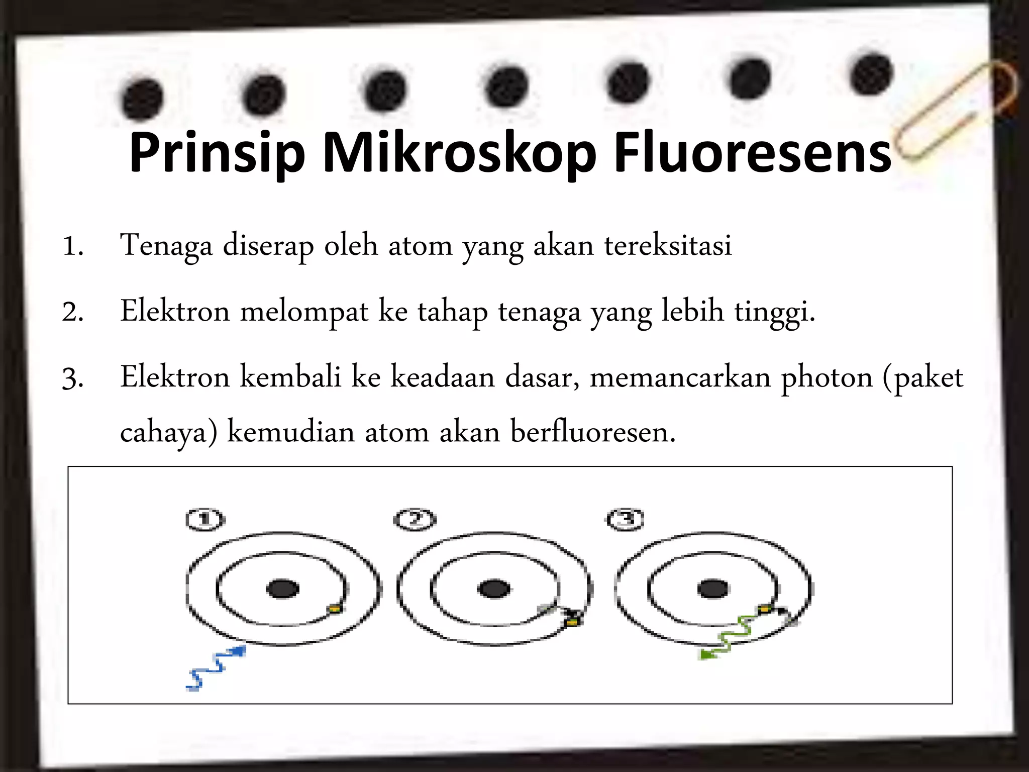 Mikroskop fluorescence | PPTX