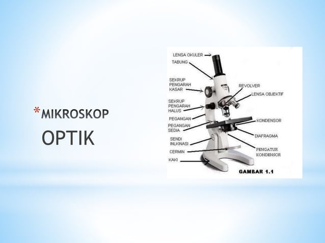 Mikroskopi | PPT