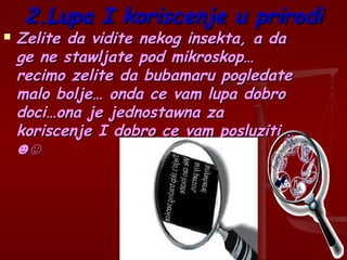 Mikroskop, lupa i durbin | PPT