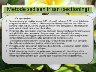 metode mikriteknik | PPTX