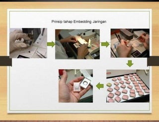 Mikroteknik (fix).ppt