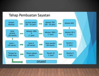 Mikroteknik (fix).ppt