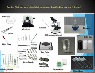 pembuatan sediaan awetan histologi (mikroteknik).ppt