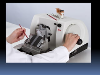 penggunaan alat mikrotom untuk pembuatan preparat histologi | PPTX