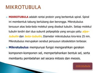 Mikrotubula (cilia) | PPTX