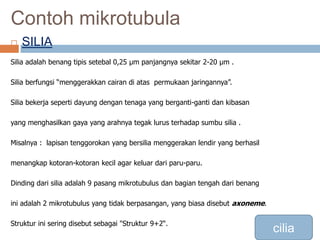 Mikrotubula (cilia) | PPTX