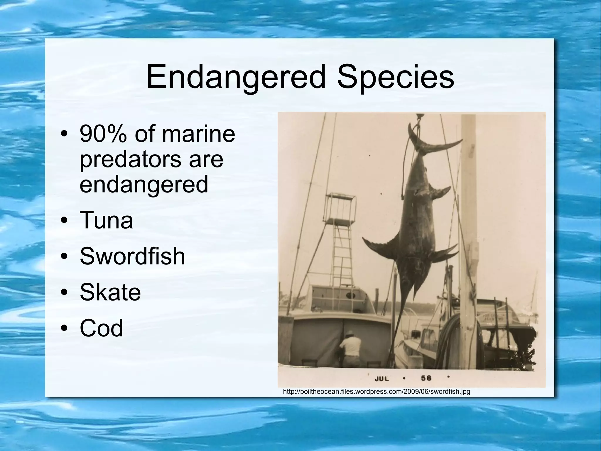Mila, alex k, teodor 103 overfishing ppt | PPT