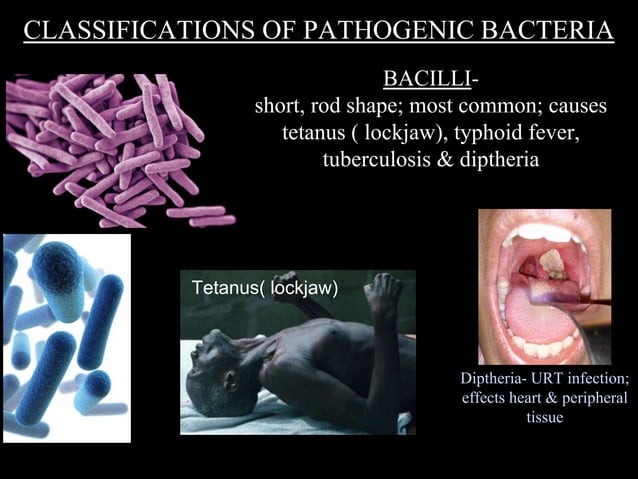 Milady infection control updated | PPTX
