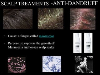 Milady ch 15 shampoo scalp care | PPTX