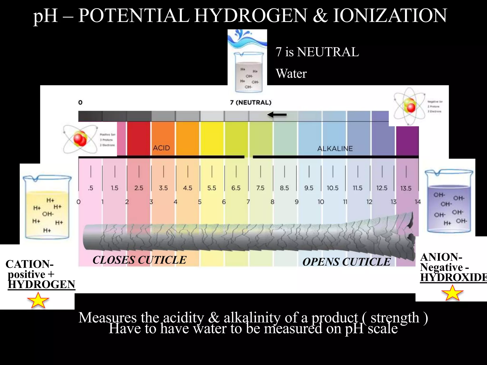 Milady ch 20 Perms Relaxers | PPTX