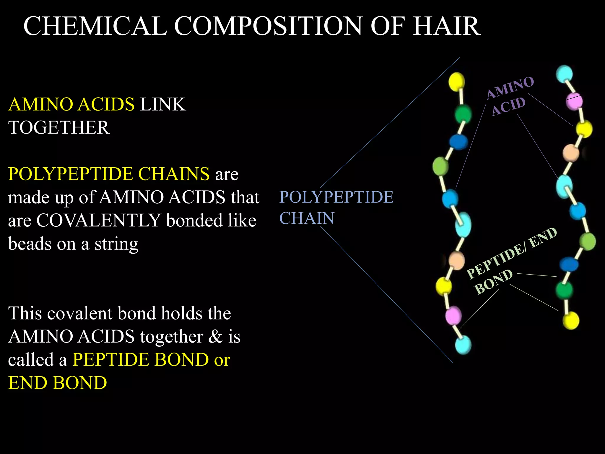 Milady ch 20 Perms Relaxers | PPTX