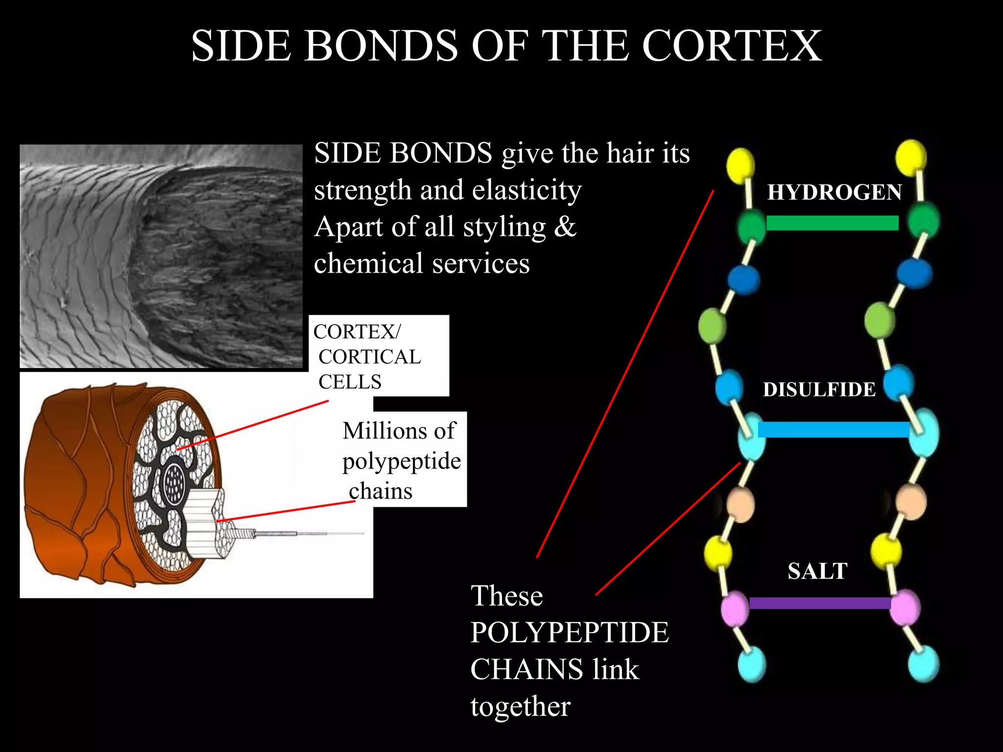 Milady ch 20 Perms Relaxers | PPTX