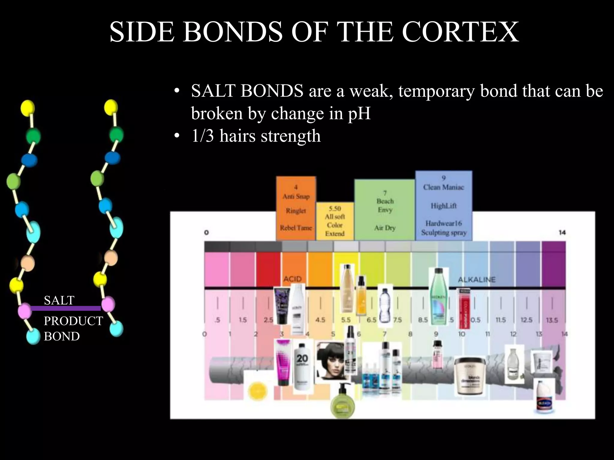 Milady ch 20 Perms Relaxers | PPTX