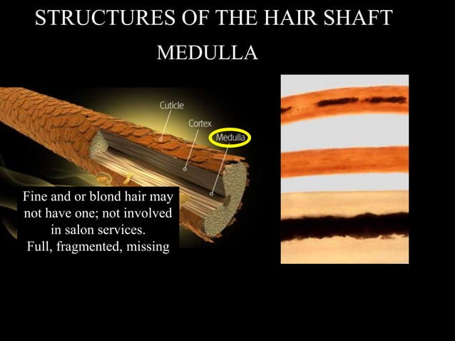 Milady ch 20 Perms Relaxers | PPTX