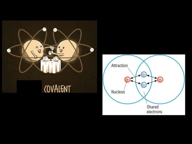 Milady ch 20 Perms Relaxers | PPTX