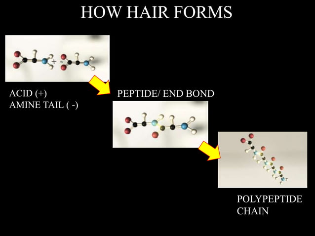 Milady ch 20 Perms Relaxers | PPTX