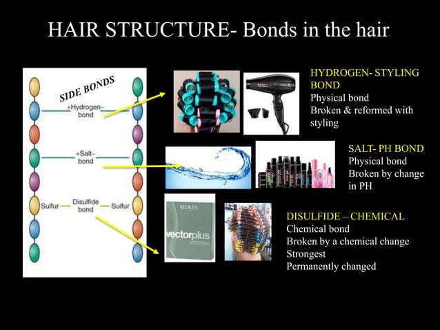 Milady ch 20 Perms Relaxers | PPTX