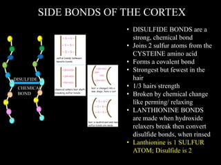 Milady ch 20 Perms Relaxers | PPTX