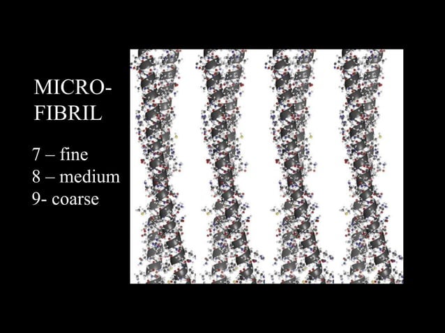 Milady ch 20 Perms Relaxers | PPTX