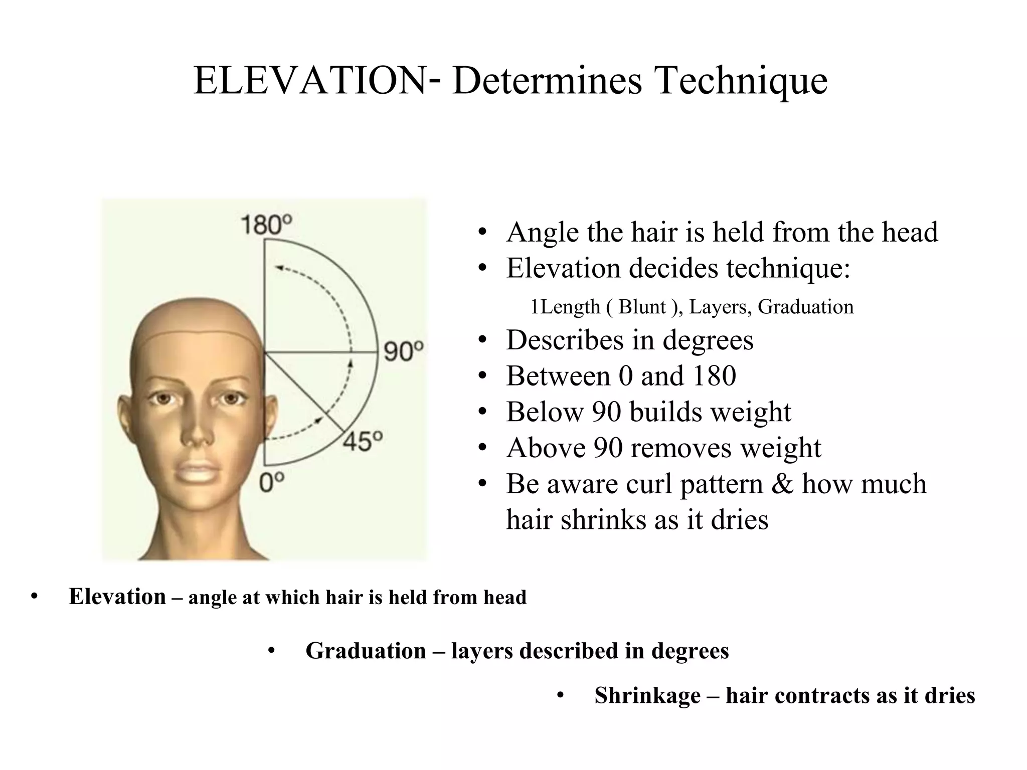 Milady chapter 16 Haircutting | PPTX
