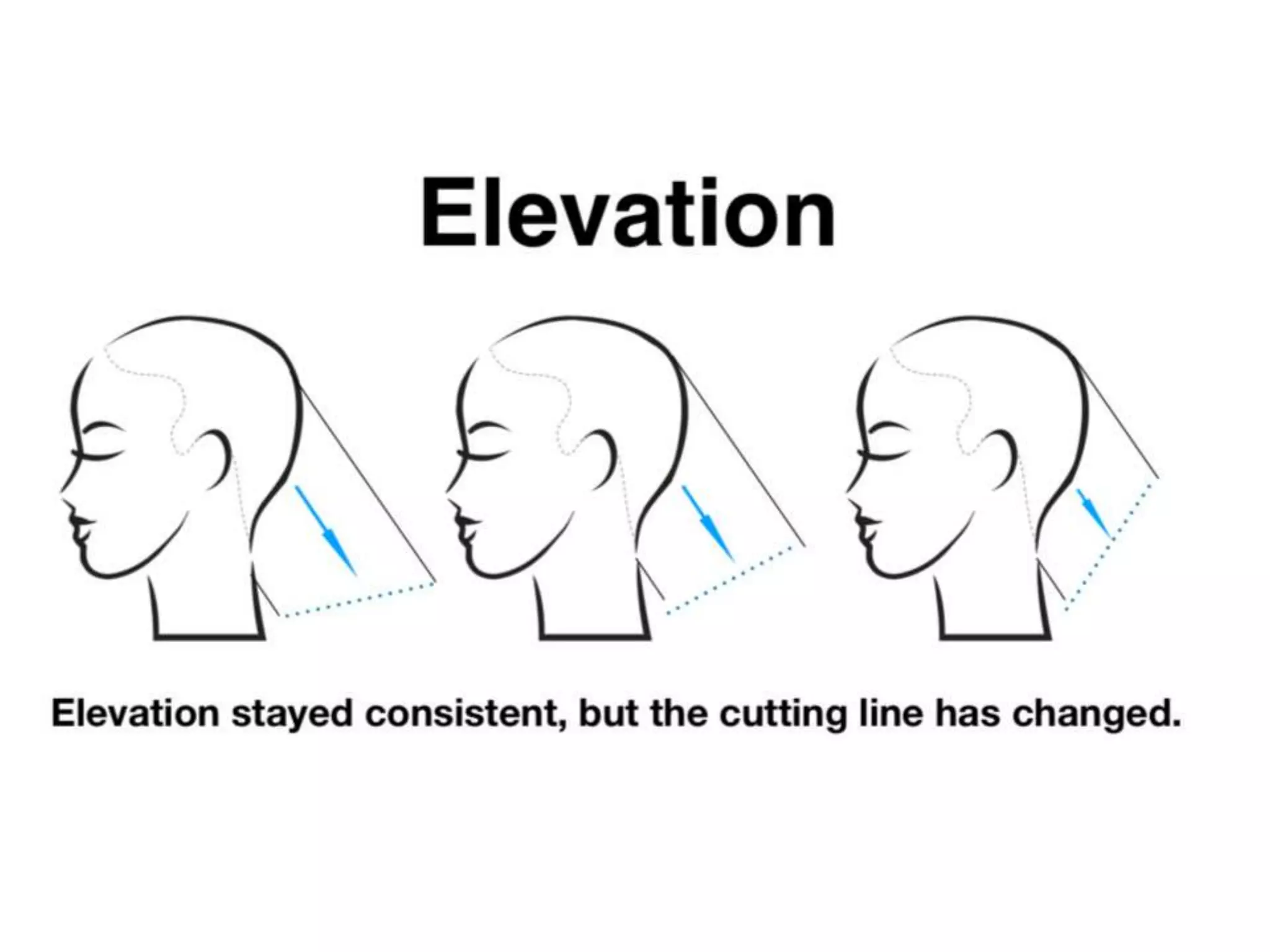 Milady chapter 16 Haircutting | PPTX