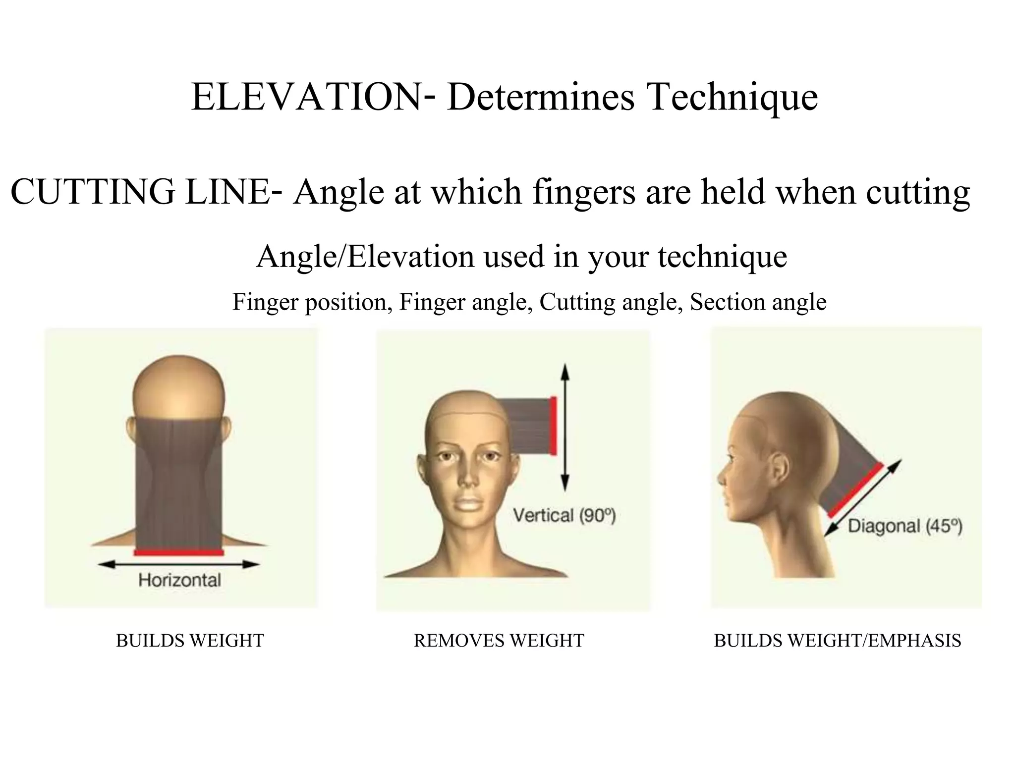 Milady chapter 16 Haircutting | PPTX