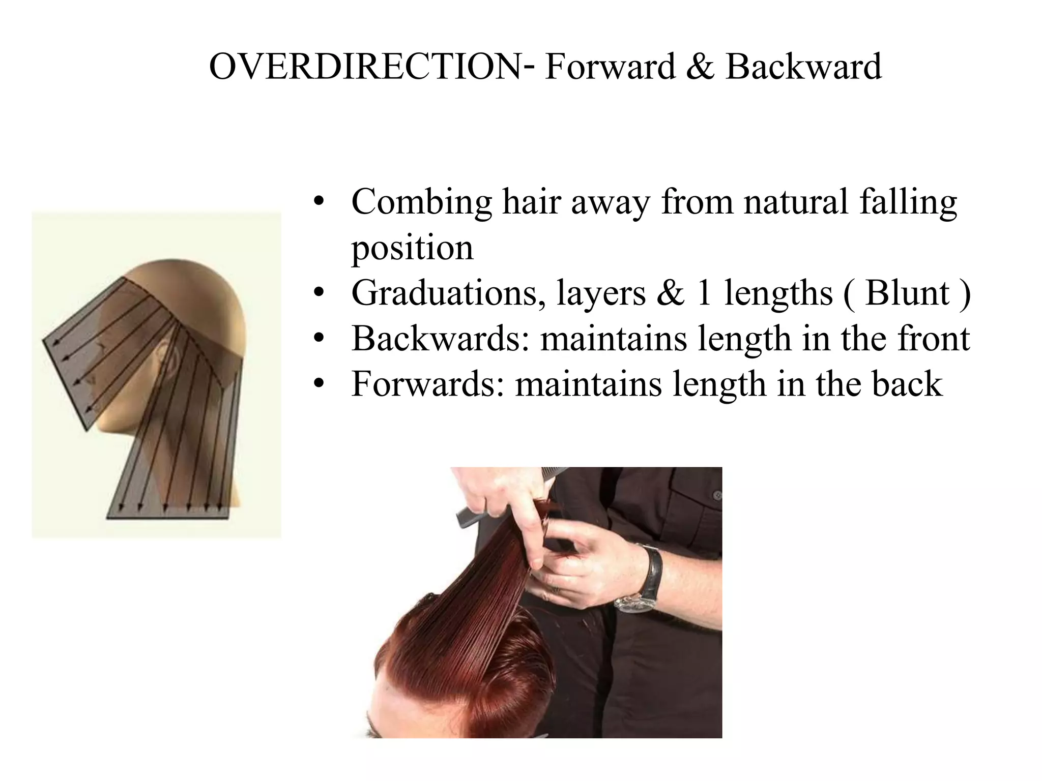 Milady chapter 16 Haircutting | PPTX