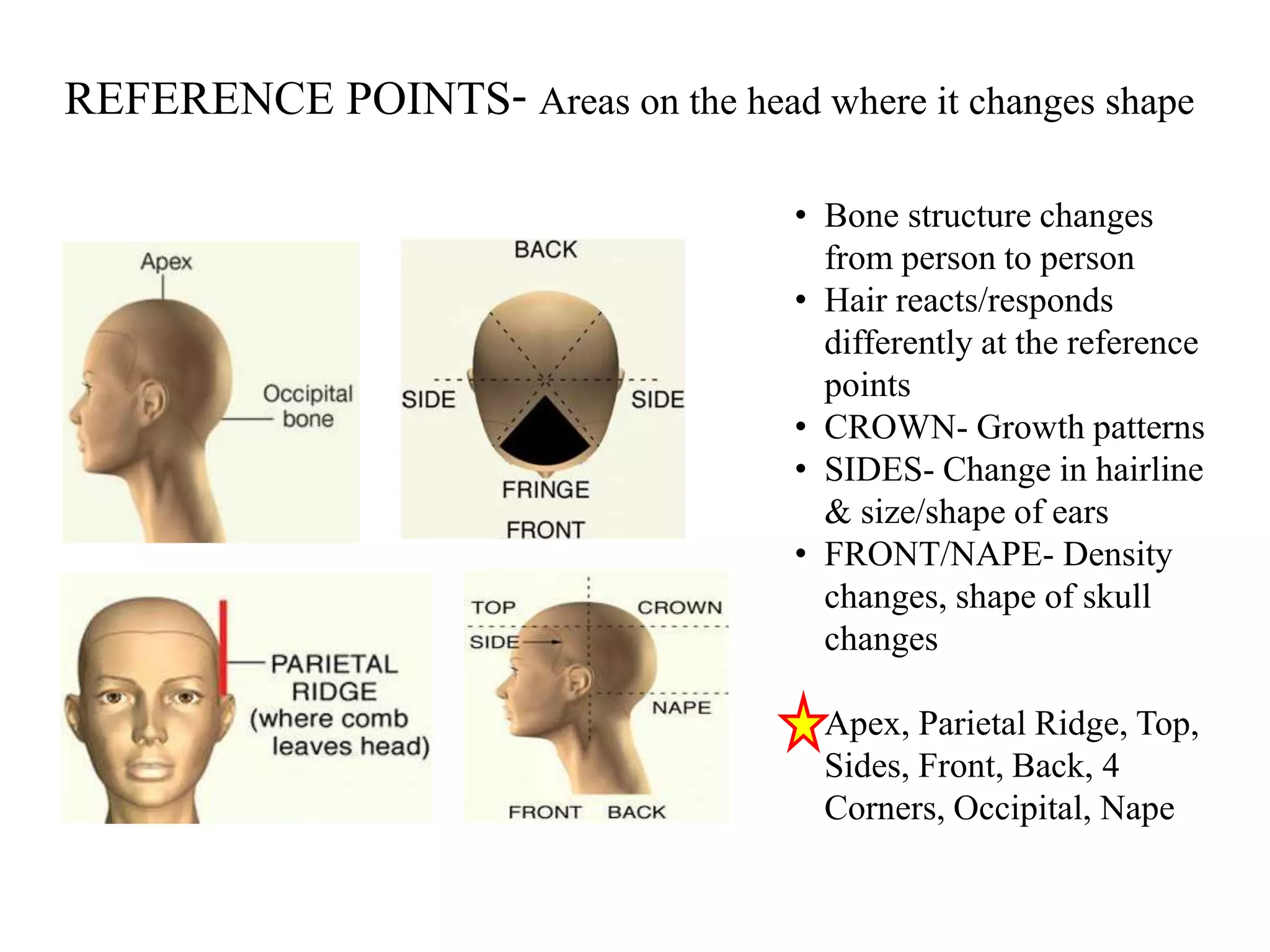 Milady chapter 16 Haircutting | PPTX