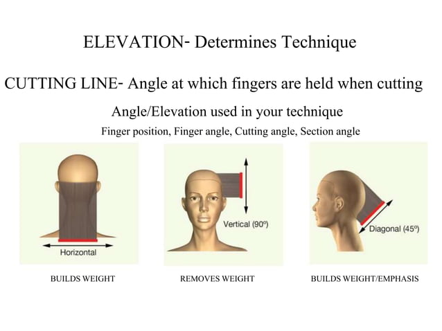 Milady chapter 16 Haircutting | PPTX | Hair Care | Beauty