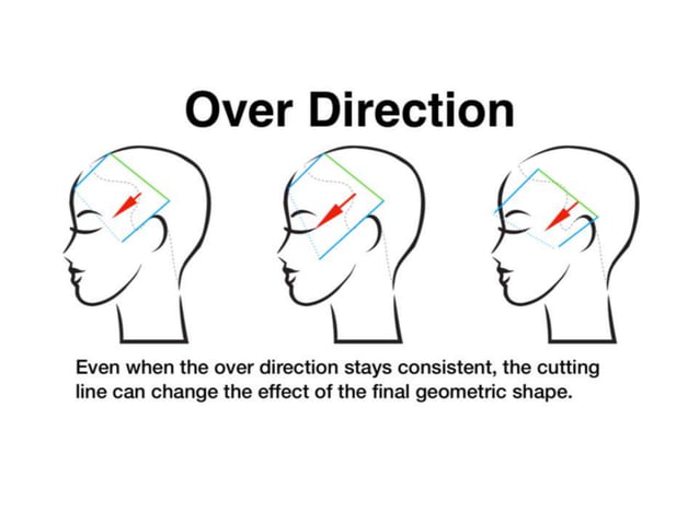 Milady chapter 16 Haircutting | PPTX | Hair Care | Beauty